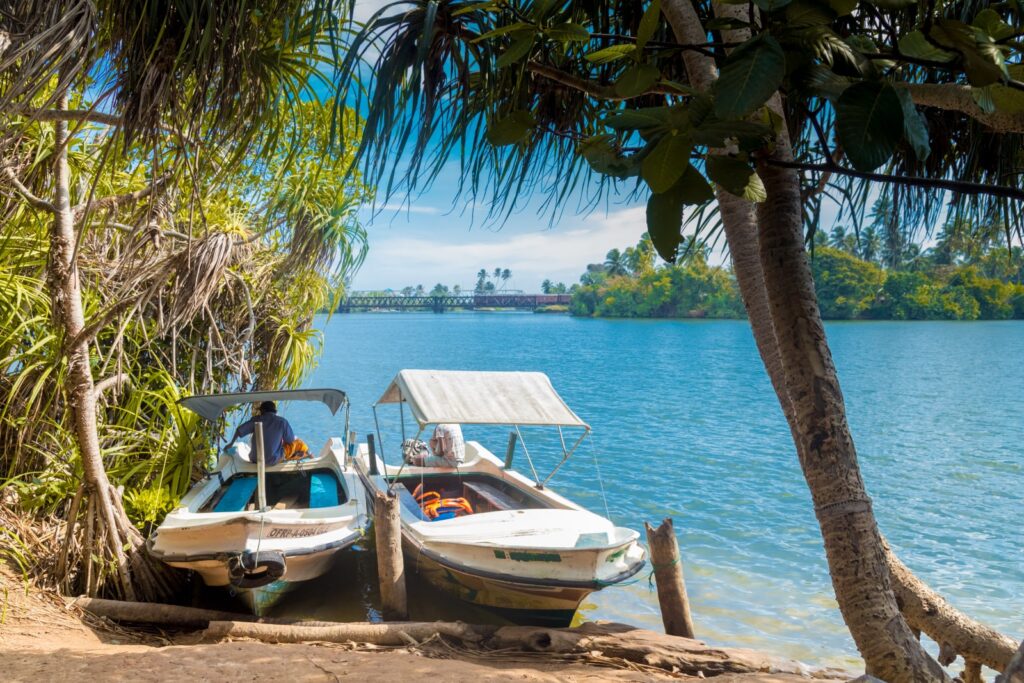 Boat ride at Tissa Lake Tour from Hambantota Port